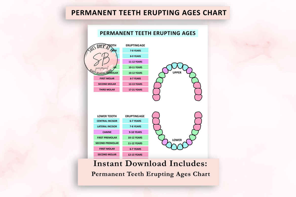 Printable Primary Teeth Chart